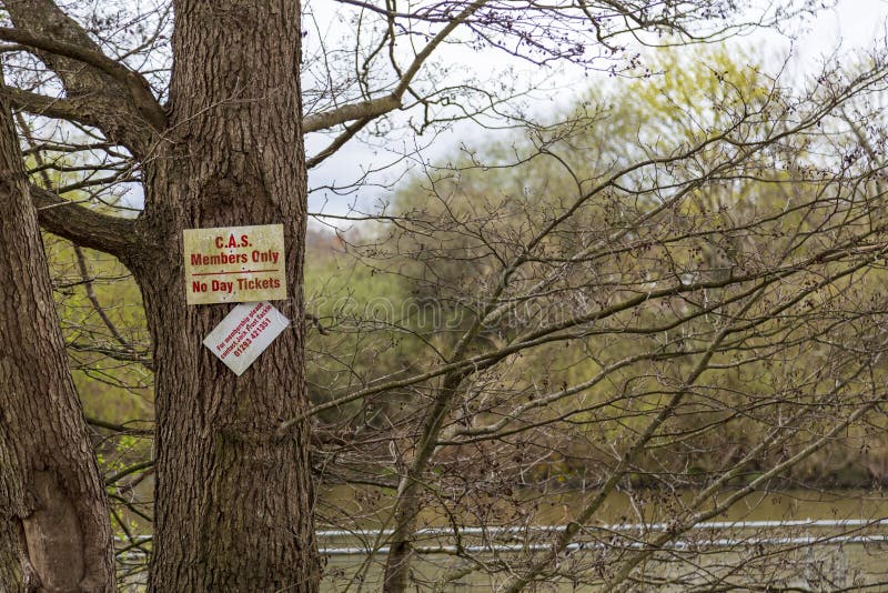 Mill Pond on an Early Spring Day Stock Photo - Image of crawley, nature ...