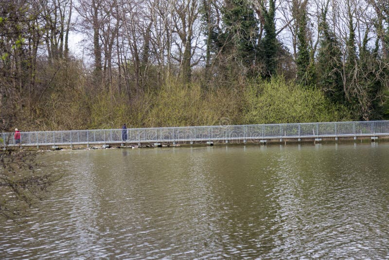 Mill Pond on an Early Spring Day Stock Image - Image of wildlife ...