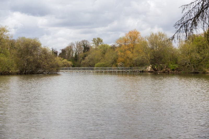 Mill Pond on an Early Spring Day Stock Image - Image of tree, mill ...