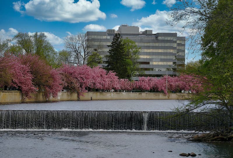 Mill River Dam Nature Setting Stock Image - Image of barrier, trees ...