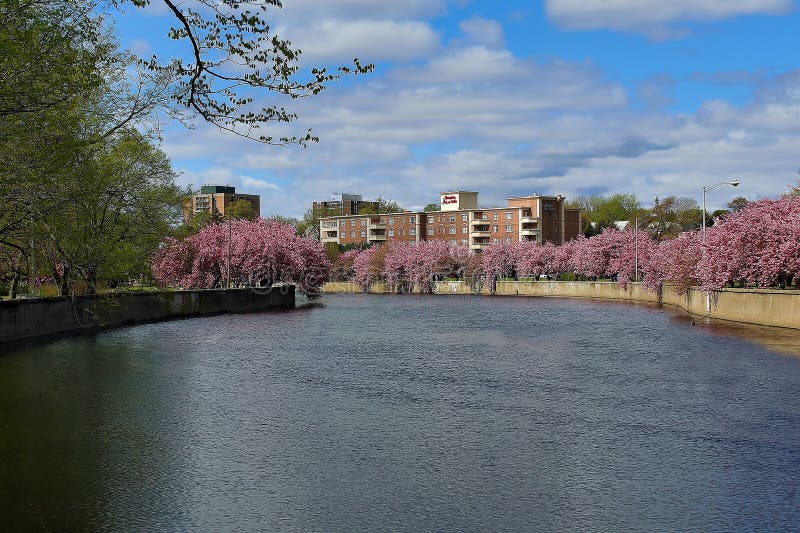 Mill River Nature Setting stock photo. Image of cherry - 273990536