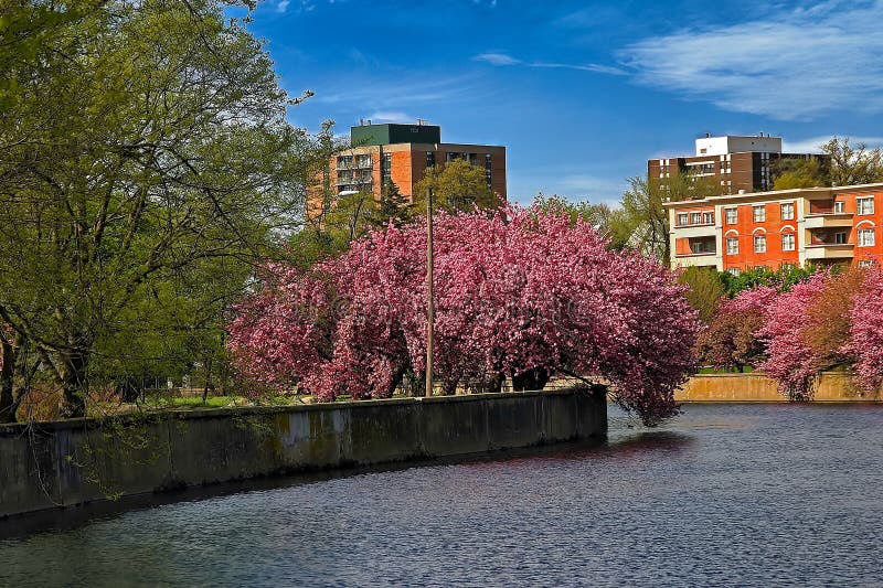 Mill River Nature Setting stock image. Image of public - 273990545