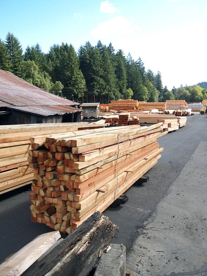 Milled Lumber stock photo. Image of industry, milled, building - 9396334