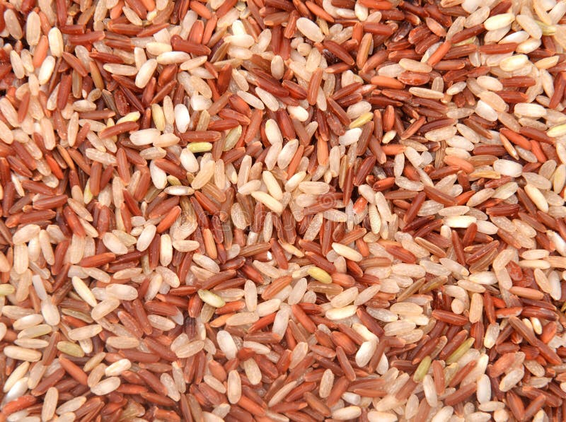 Milled but unpolished rice stock photo. Image of cook - 105451236