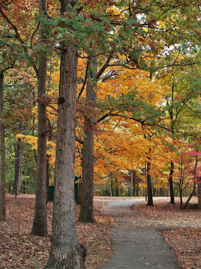 Miller Park Fall Foliage stock photo. Image of trees - 100161952