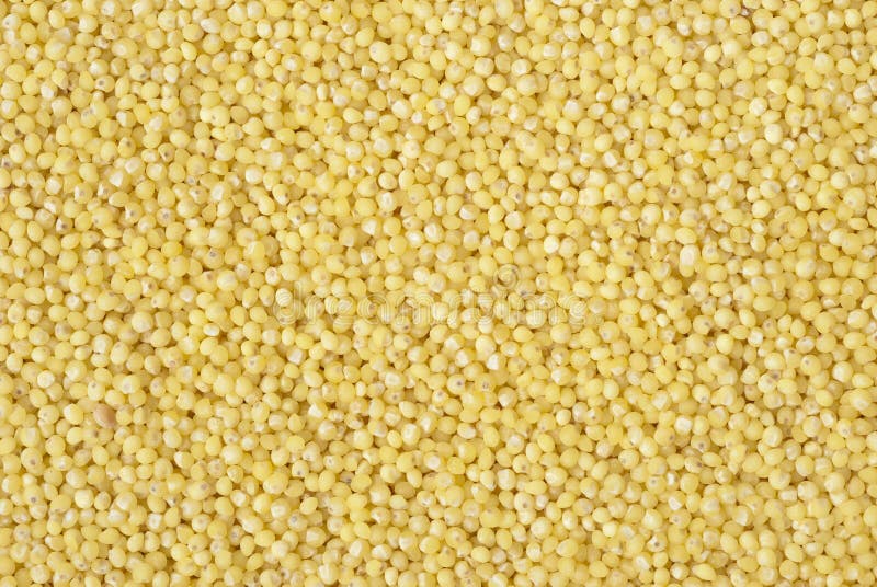 Millet stock image. Image of vegetarian, grain, hulled - 15418623