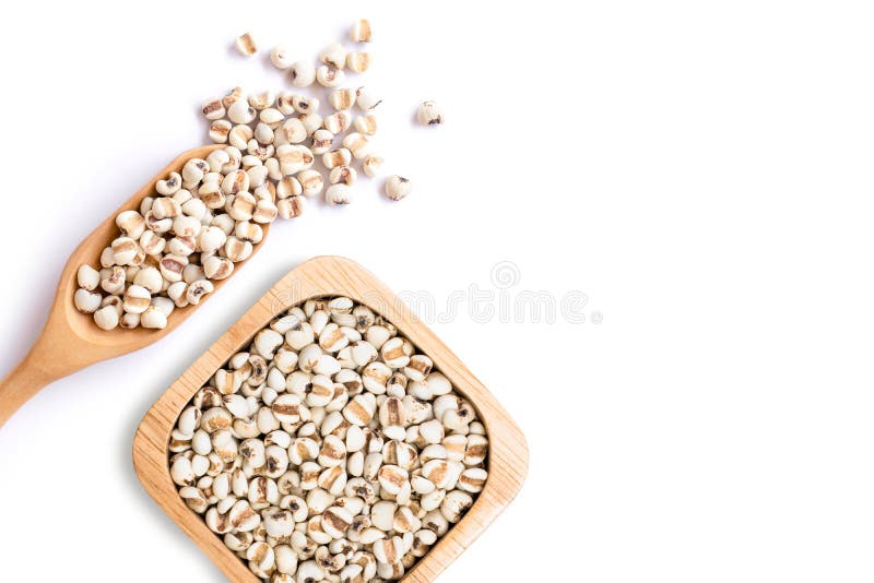 Job`s Tears Adlay Millet or Pearl Millet Stock Photo - Image of natural ...