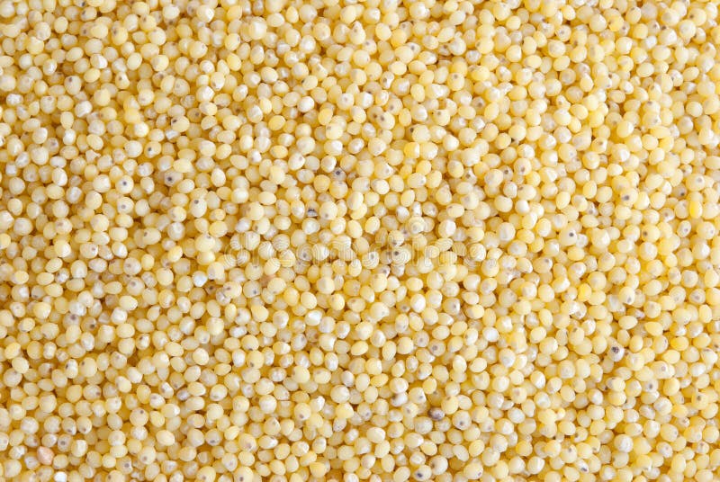 Millet. stock image. Image of ingredients, groats, close - 22262645