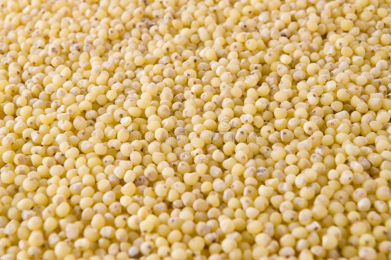 Millet stock photo. Image of foodstuffs, food, harvest - 3339678