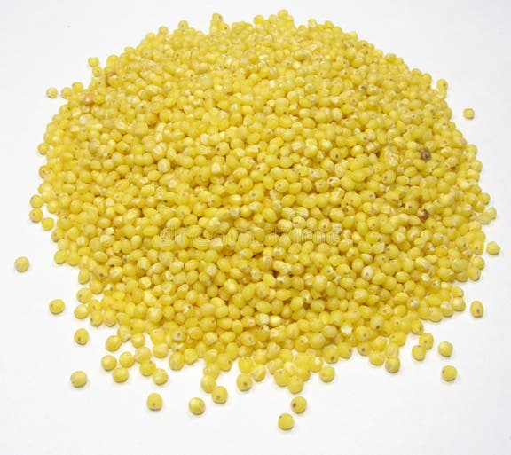 Millet stock image. Image of millet, agriculture, structure - 9491127