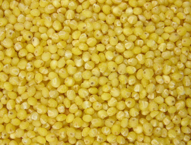 Millet stock image. Image of corn, closeup, nature, kernel - 9491187