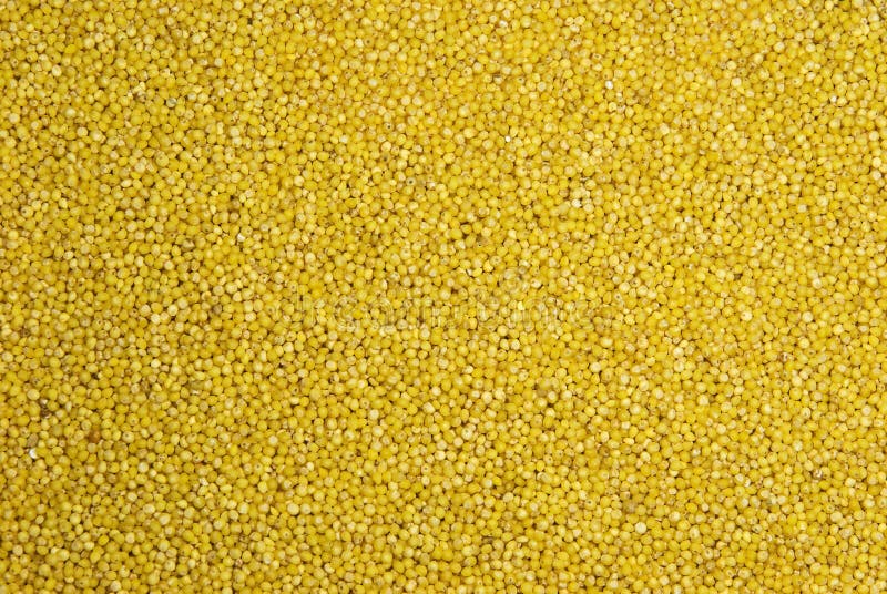 Millet background stock photo. Image of organic, fiber - 14021886