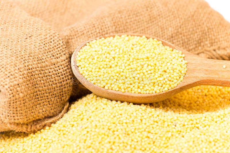 Millet stock image. Image of corn, group, cloth, cooking - 53471495