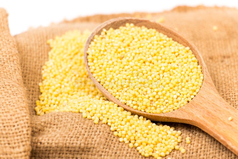 Millet stock photo. Image of crop, grained, dieting, hulled - 53471510
