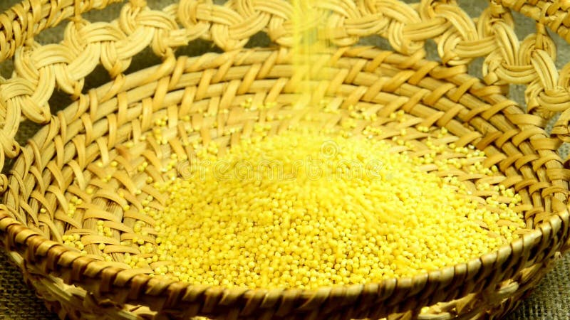 Millet falls down stock video. Video of organic, millet - 88657717