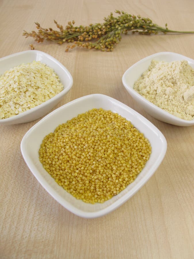 Panicle Millet, Millet Grains and Rolled Millet Stock Image - Image of ...