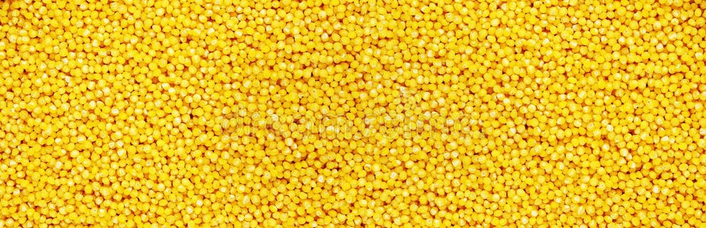 Millet Grain Background and Texture. Panorama. Banner Stock Photo ...