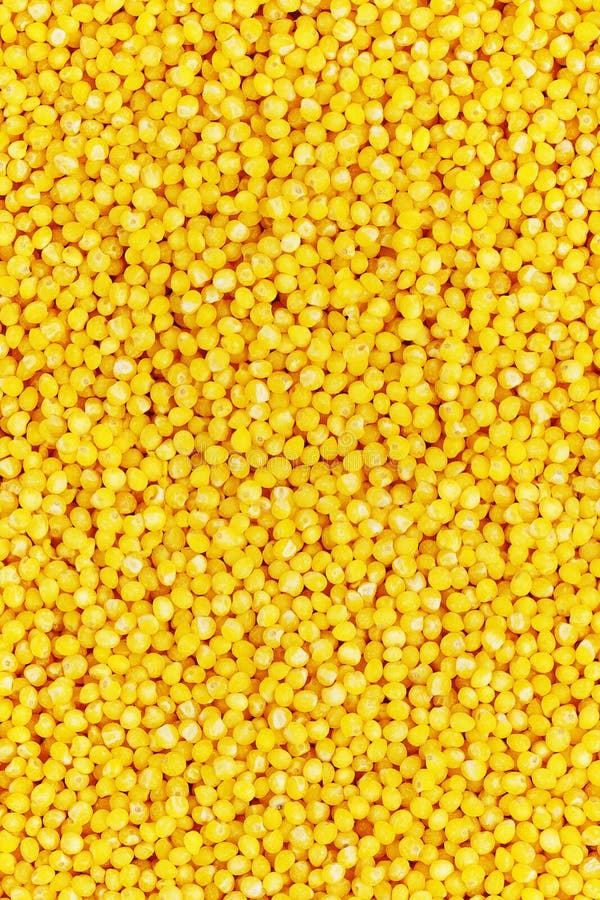 Millet Grain Background and Texture. Panorama. Banner Stock Photo ...