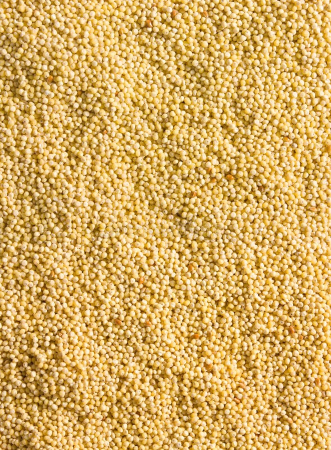 Millet grains background stock image. Image of feed, crop - 23597729