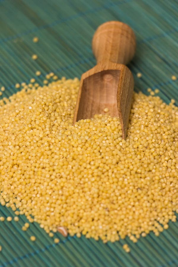Millet groats stock image. Image of grain, ingredient - 65977359