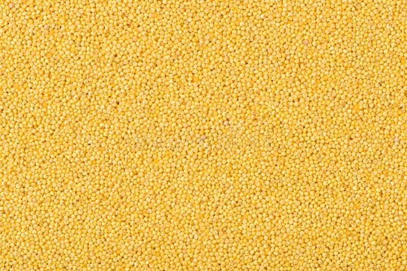 Wheat Brown Color Pictures And Images - RGB Color Hex Code [#FFC040 - 91%]