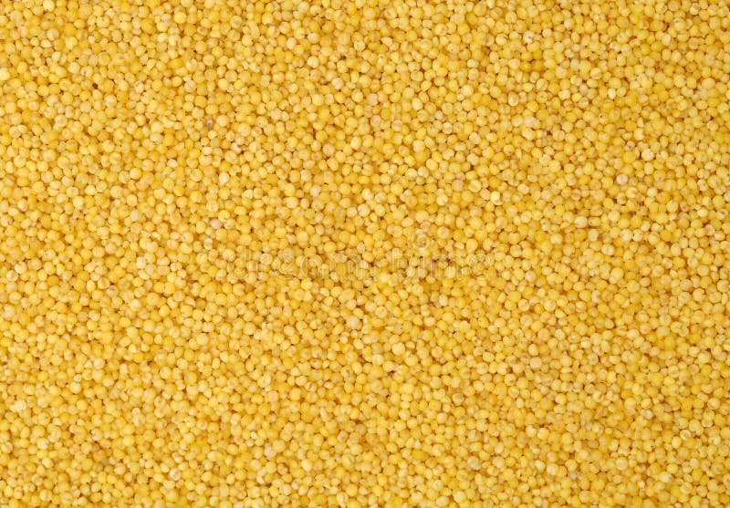 Millet - image stock photo. Image of closeup, cereal - 111448188