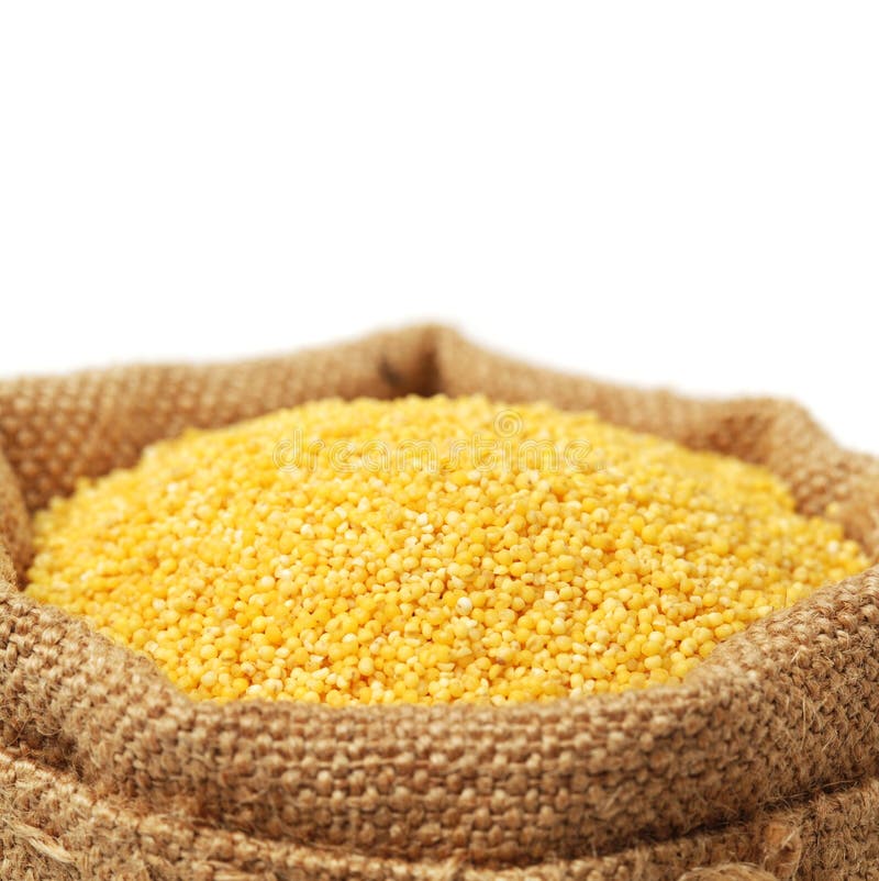 Millet stock image. Image of hulled, cotton, seed, structure - 102146111