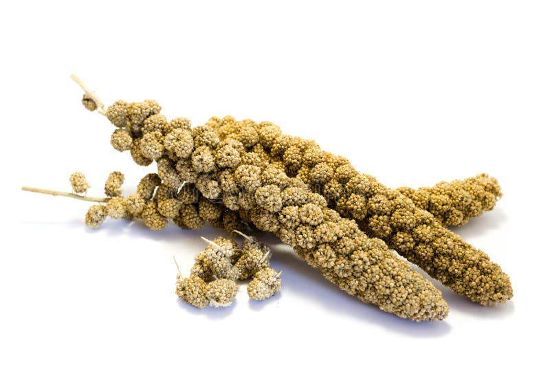 Millet Isolated on White Background Stock Image - Image of healthy ...