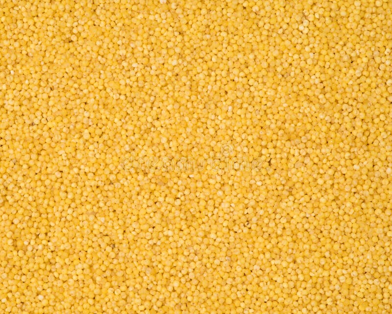 Millet stock image. Image of color, millet, healthy - 115847511