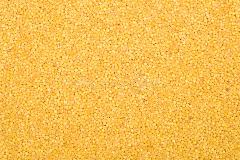 Millet stock image. Image of vegetarian, healthy, kernel - 106364133