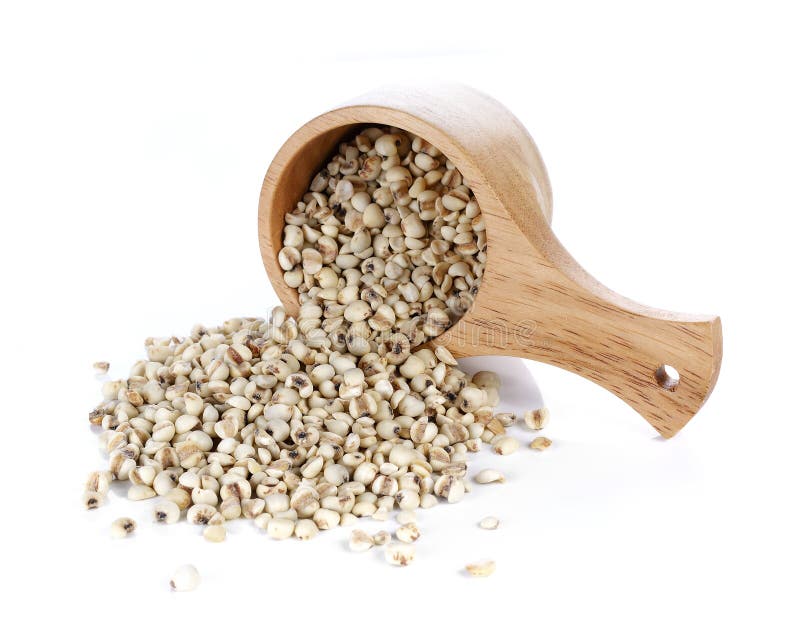 Millet Rice, Millet Grains on White Background Stock Photo - Image of ...