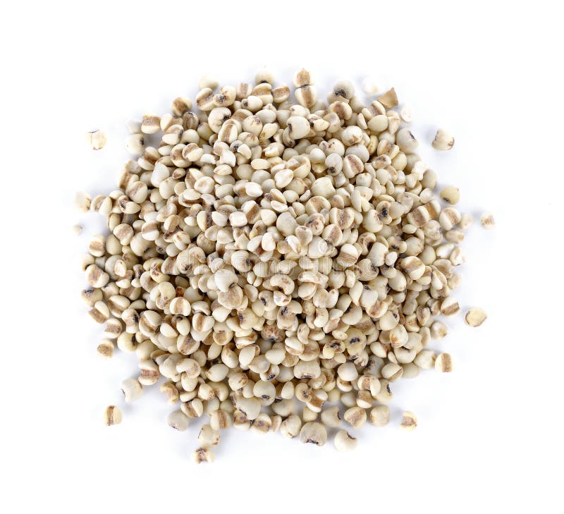 Millet Rice, Millet Grains on White Background Stock Image - Image of ...