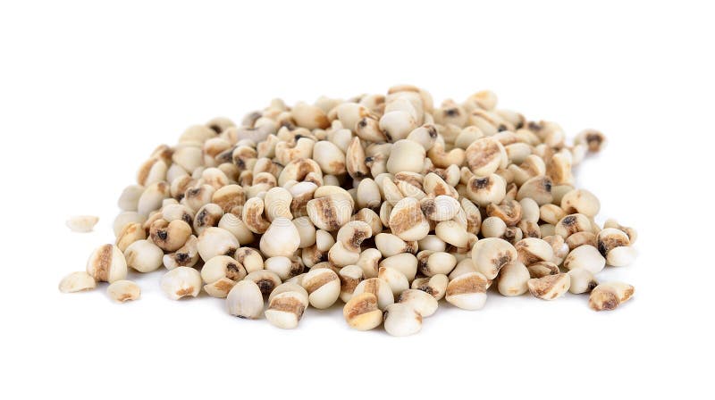 Millet Rice , Millet Grains Isolated on White Background Stock Photo ...