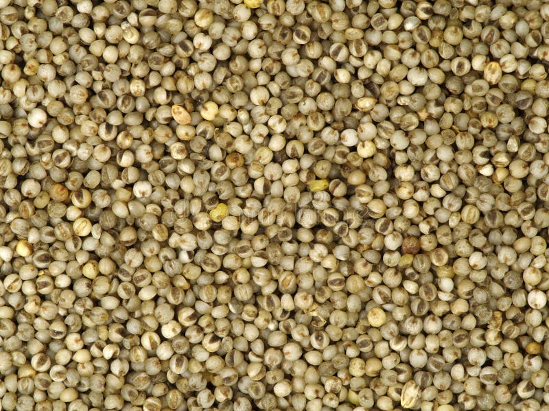 Millet Texture stock image. Image of green, studio, healthy - 65854285