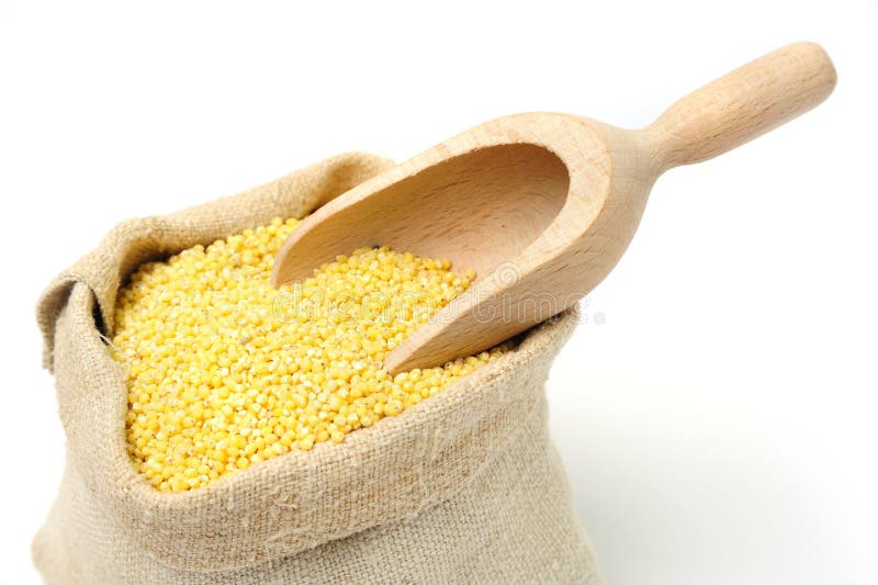 Scoop of Hulled Millet Grain Stock Photo - Image of ingredient ...