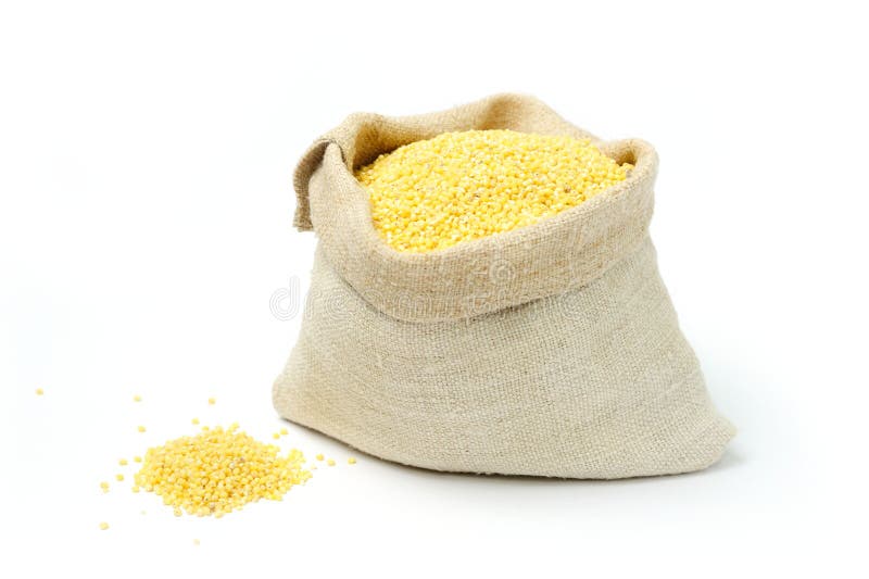 Raw Yellow Millets Grains in a Burlap Bag. Isolated on White Background ...