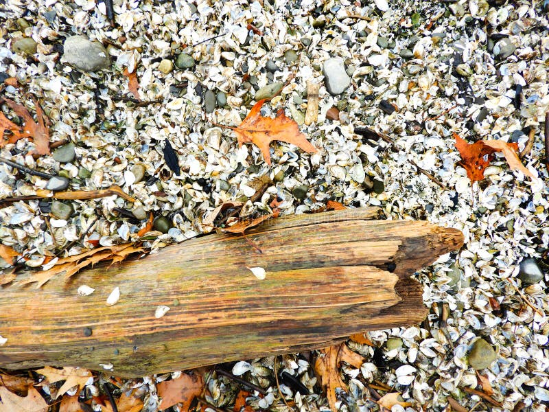 Cayuga Lake Winter Shore with Frozen Waves Stock Photo - Image of ...