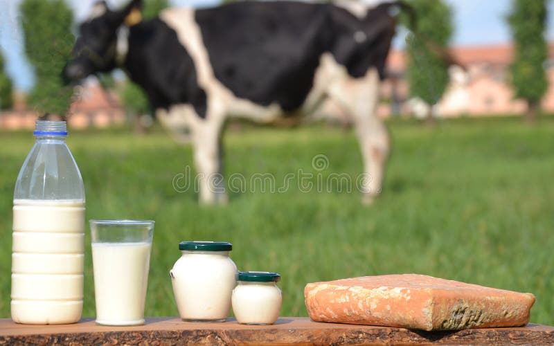 Millk bottle stock photo. Image of tape, drink, diet - 59789374