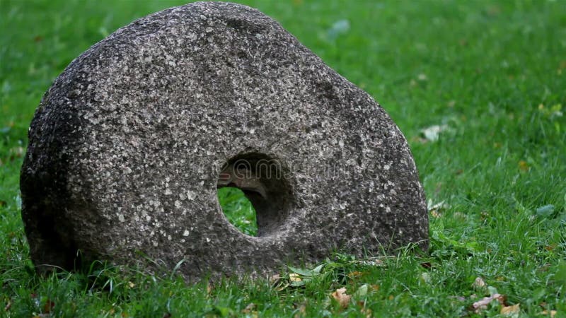 Big millstone stock image. Image of traditional, millstone - 28333583