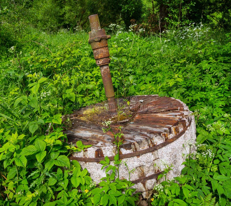 A Huge, Old Millstone Resting in a Garden Stock Photo - Image of plant ...