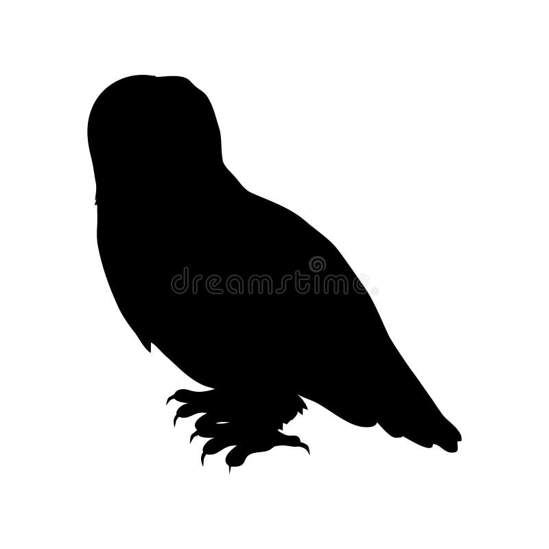 Milou Owl Flat Design Vector Illustration Illustration de Vecteur ...