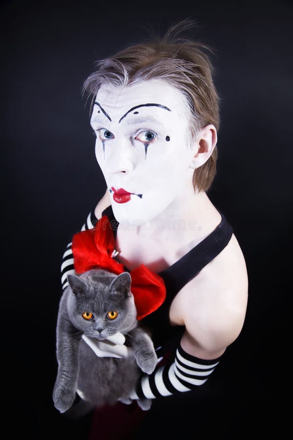 Mime Gray British Cat Stock Photos - Free & Royalty-Free Stock Photos ...