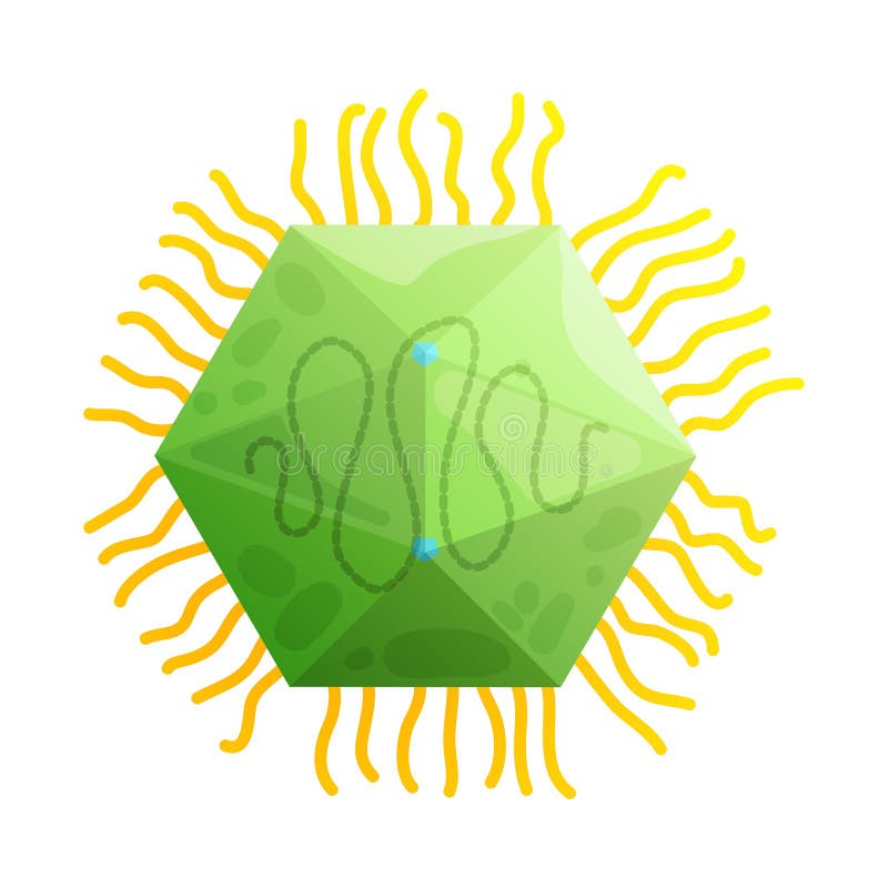 Mimiviridae Human Virus Composition Stock Vector - Illustration of type ...