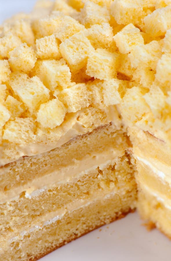 Mimosa Cake stock photo. Image of sprinkles, food, flower - 13945322