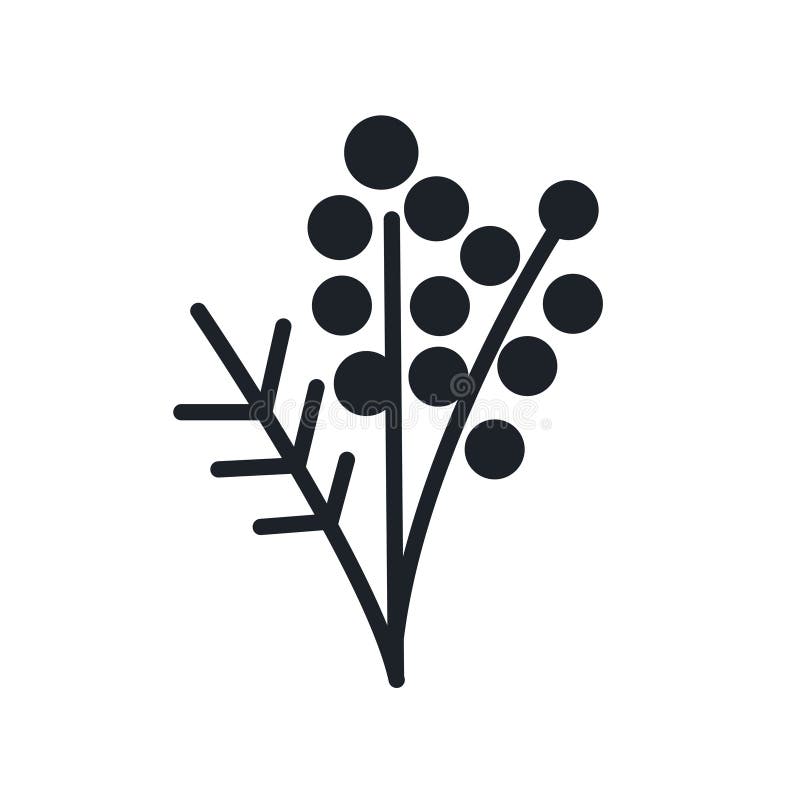 Mimosa Icon. Spring Flowers Isolated Vector Silhouette Stock Vector ...