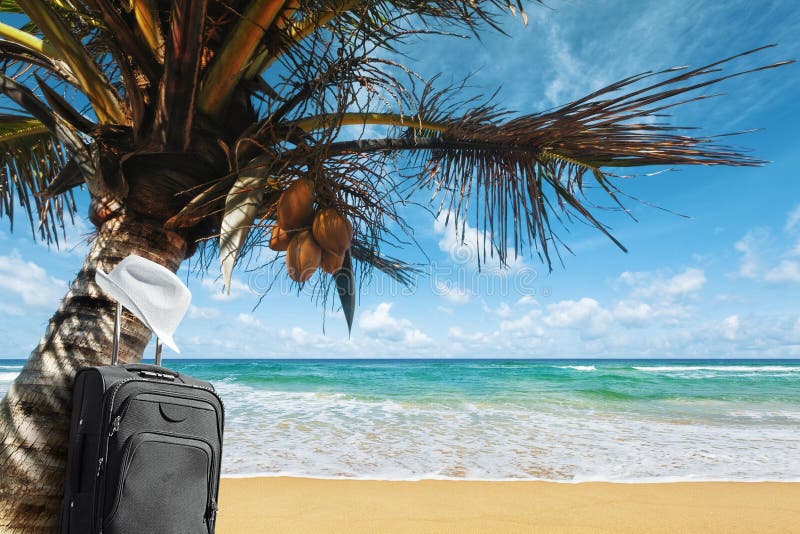 Lopp som skrivs i en sand fotografering för bildbyråer. Bild av ...