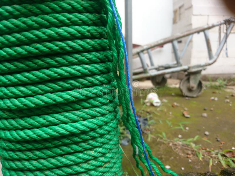 Mina atada a un poste foto de archivo. Imagen de tejer - 241160792