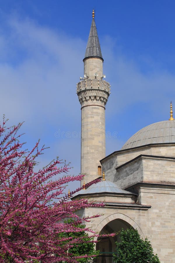 Beautiful Minarets & Domes of Mysore Palace a View from South Stock ...