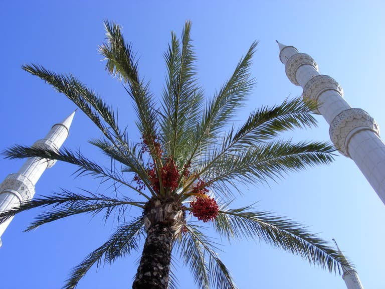 655 Persian Mosques Stock Photos - Free & Royalty-Free Stock Photos ...