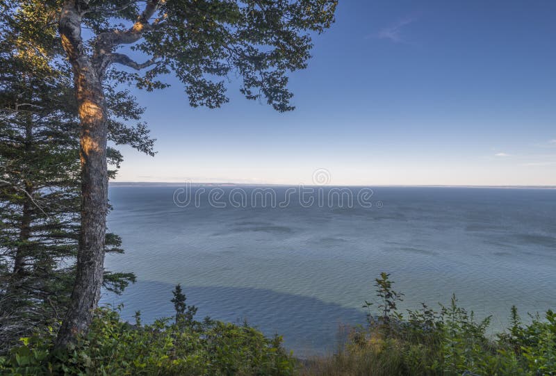 The Minas Basin stock image. Image of sand, trees, minas - 32840223